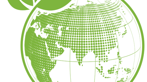 Environmental - Whimsy Inc.